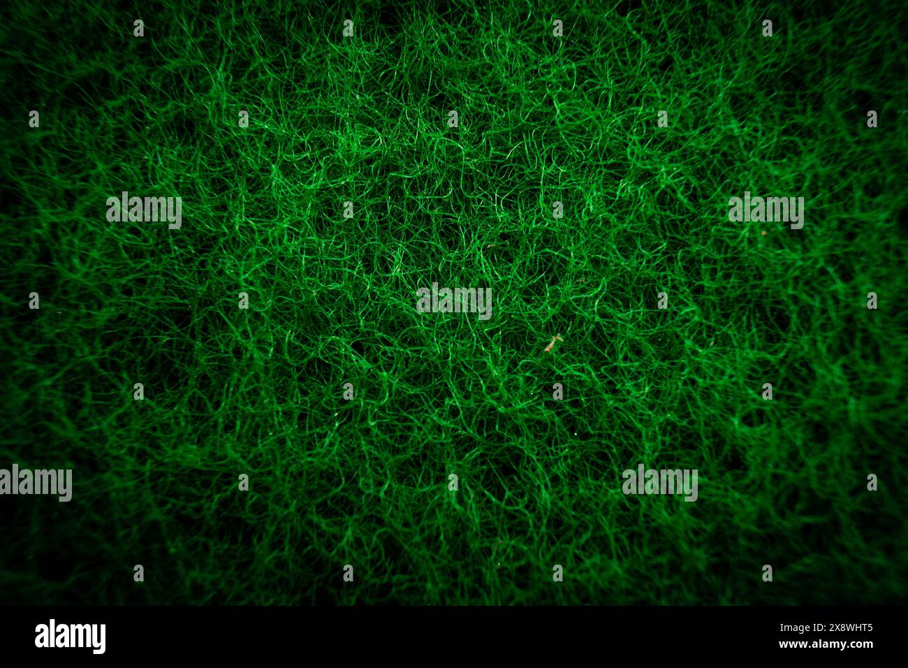 Detailed Close Up of Green rough side of a sponge Surface Stock Photo ...