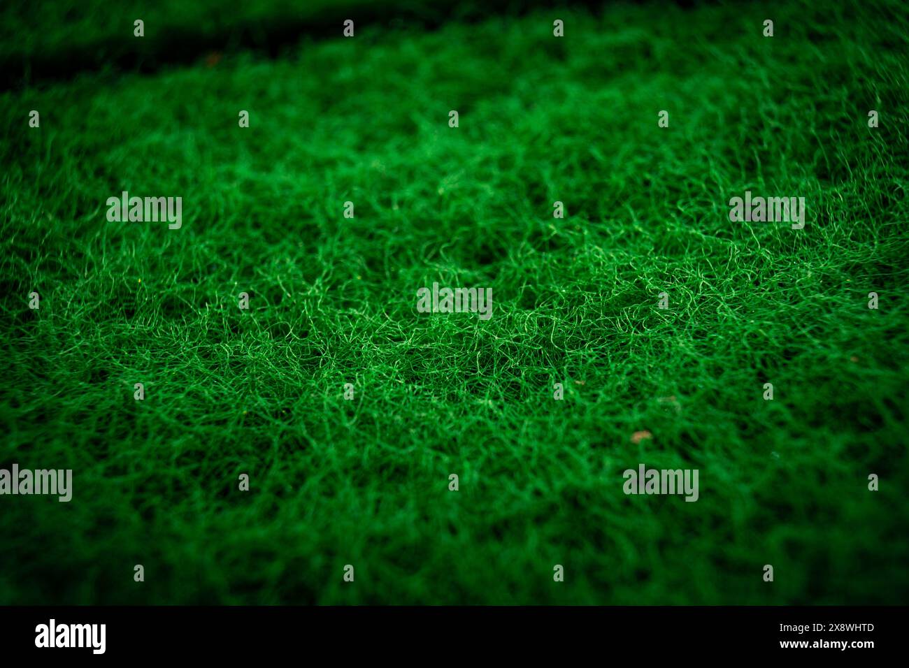 Detailed Close Up of Green rough side of a sponge Surface Stock Photo ...