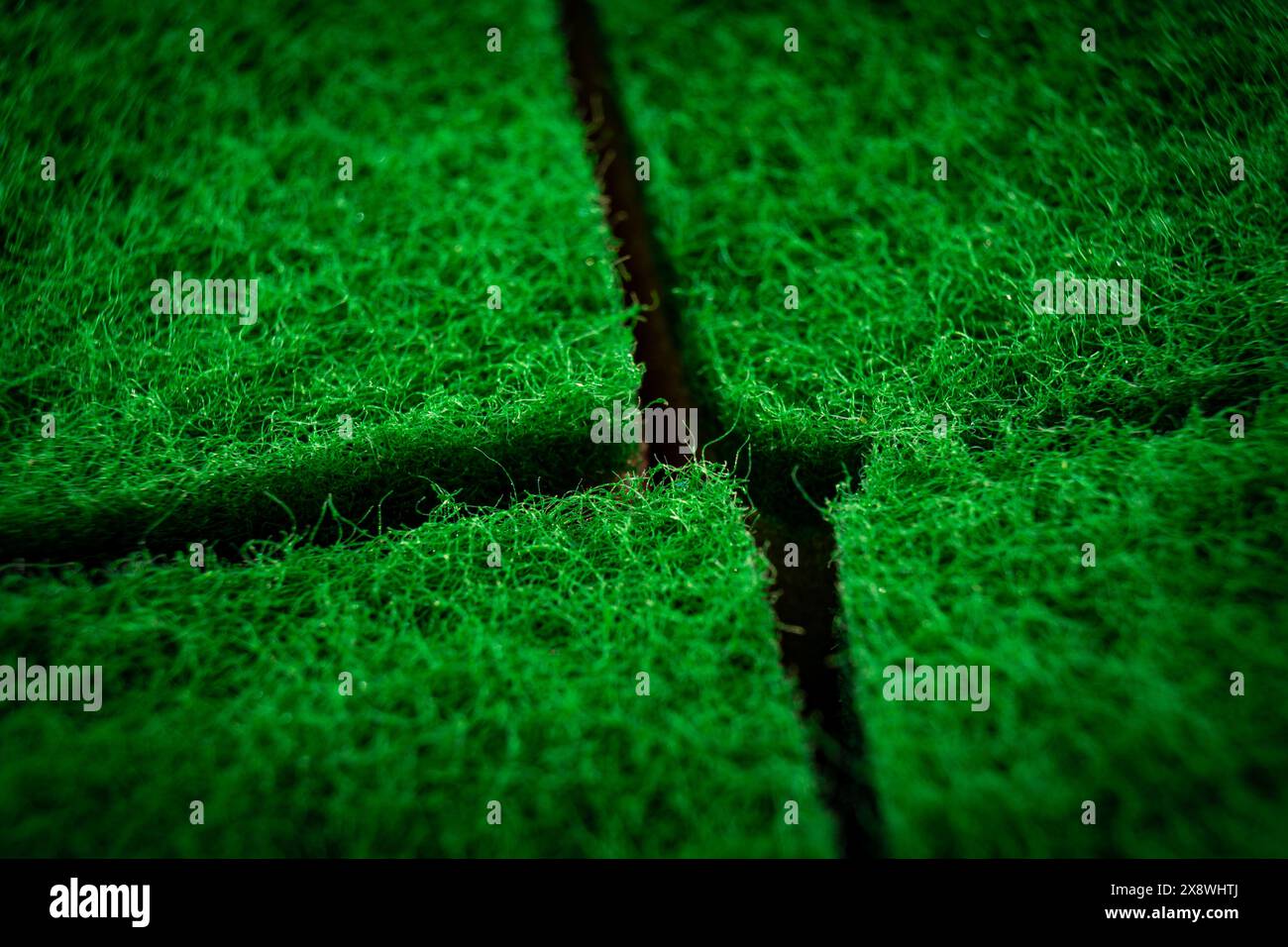 Green porous hi-res stock photography and images - Alamy