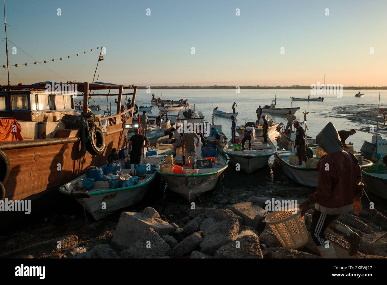photo of Iraqi people shopping in traditional fish market in basra city ...