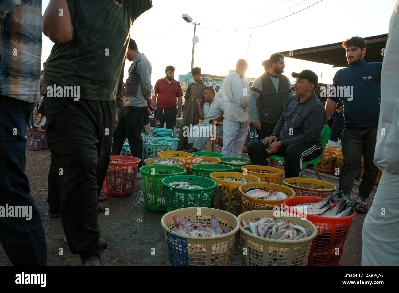 photo of Iraqi people shopping in traditional fish market in basra city ...
