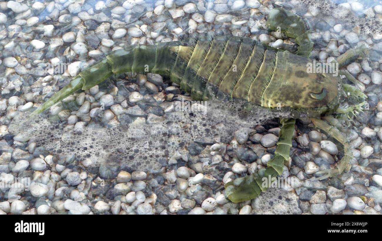 A 3D illustration of an extinct Eurypterus Remipes on a pebble beach ...