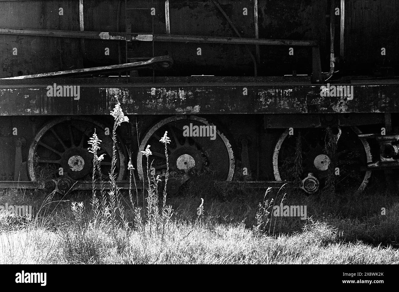 Locomotive graveyard in Buenos Aires, Argentina, circa 1970s Stock ...