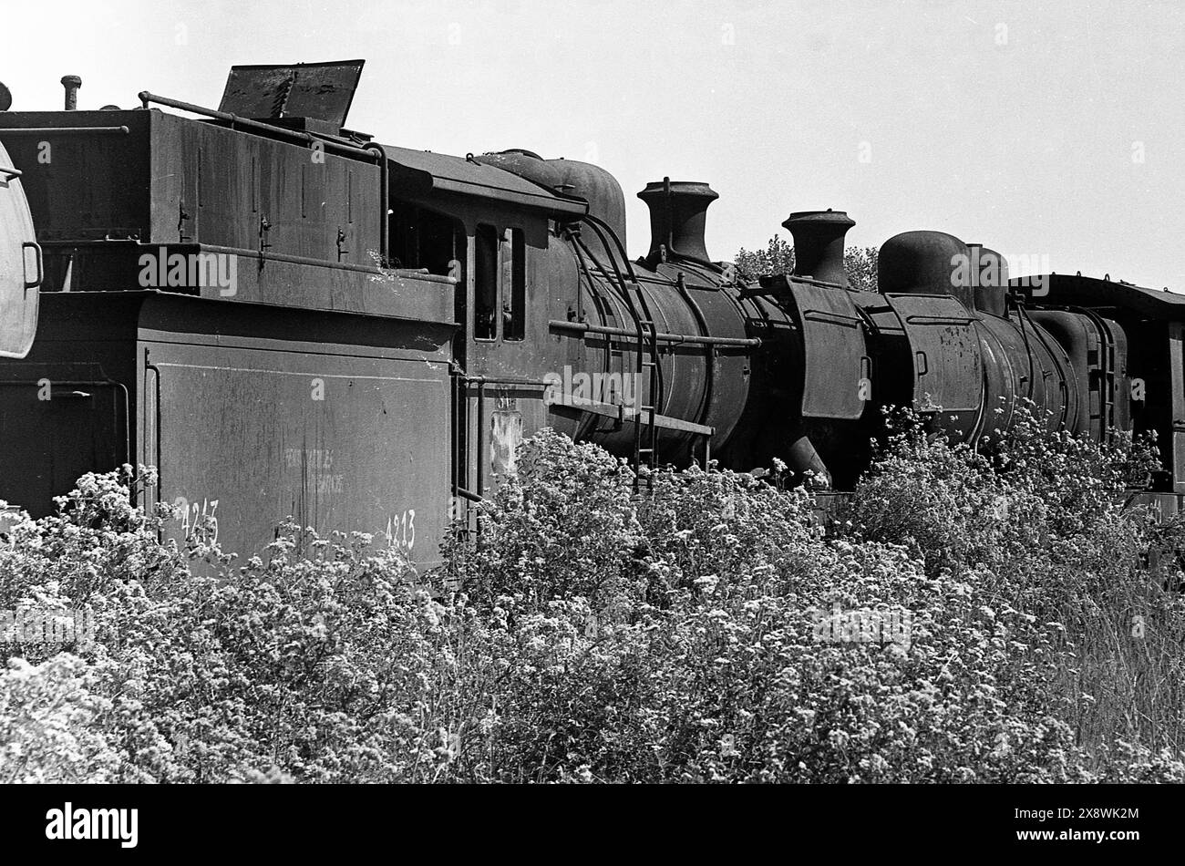 Locomotive graveyard in Buenos Aires, Argentina, circa 1970s Stock ...