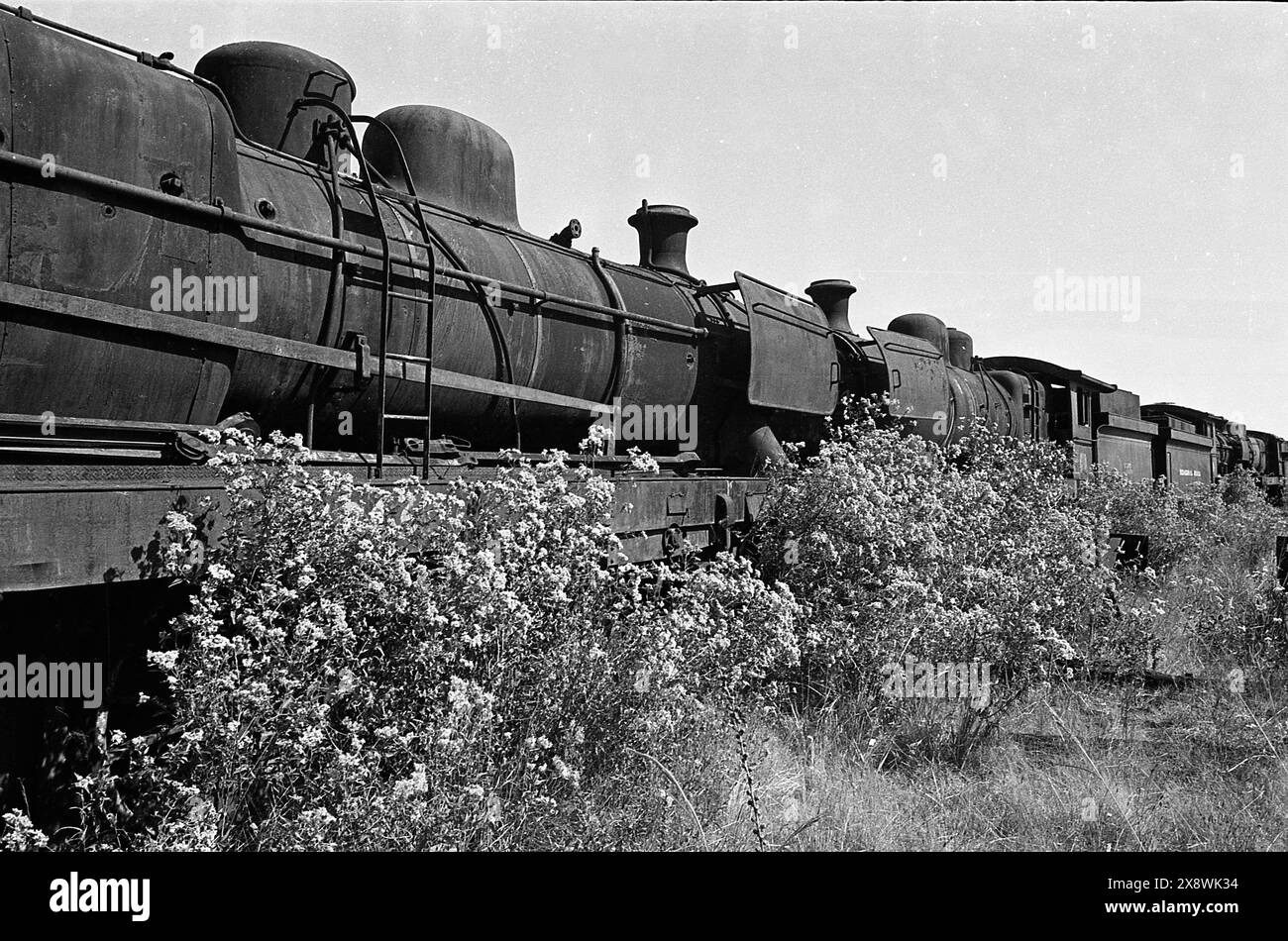 Locomotive graveyard in Buenos Aires, Argentina, circa 1970s Stock ...