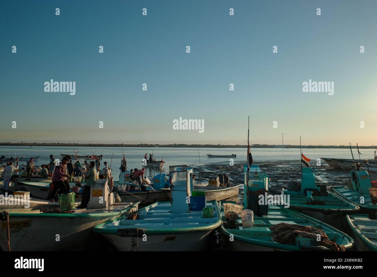photo of Iraqi people shopping in traditional fish market in basra city ...