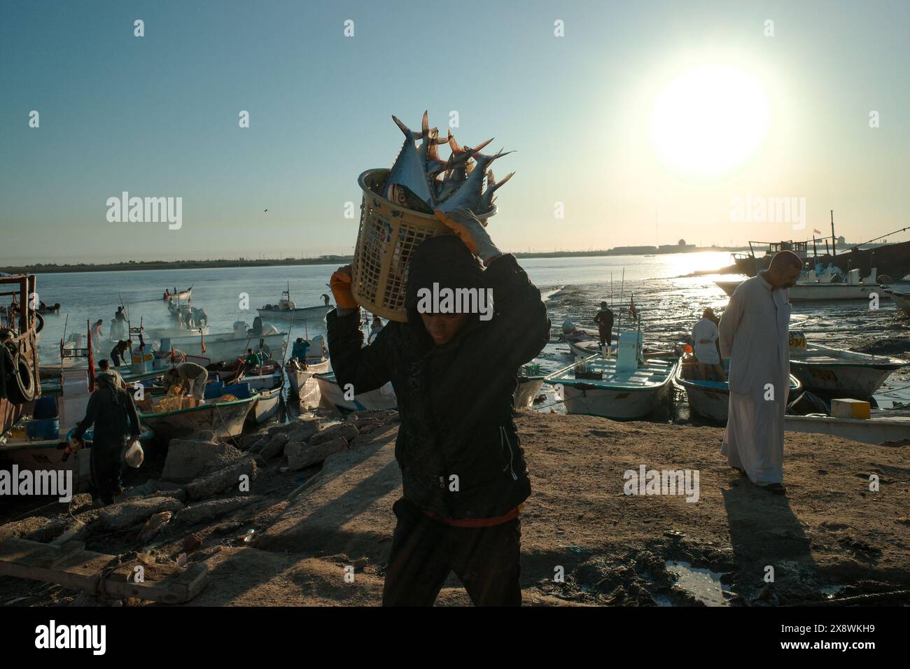 photo of Iraqi people shopping in traditional fish market in basra city ...