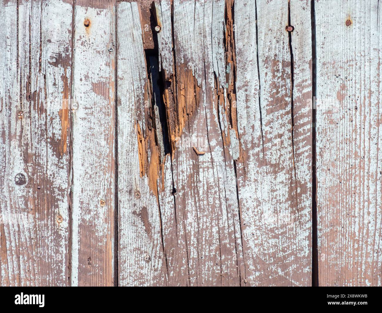 Torn grain wood plank hi-res stock photography and images - Alamy