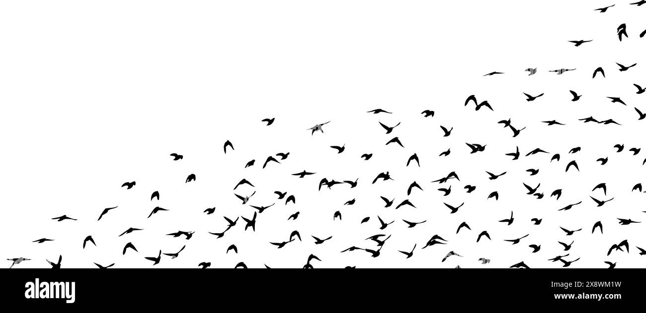 Flying birds silhouette flock. Not AI, Free birds abstraction . Vector ...