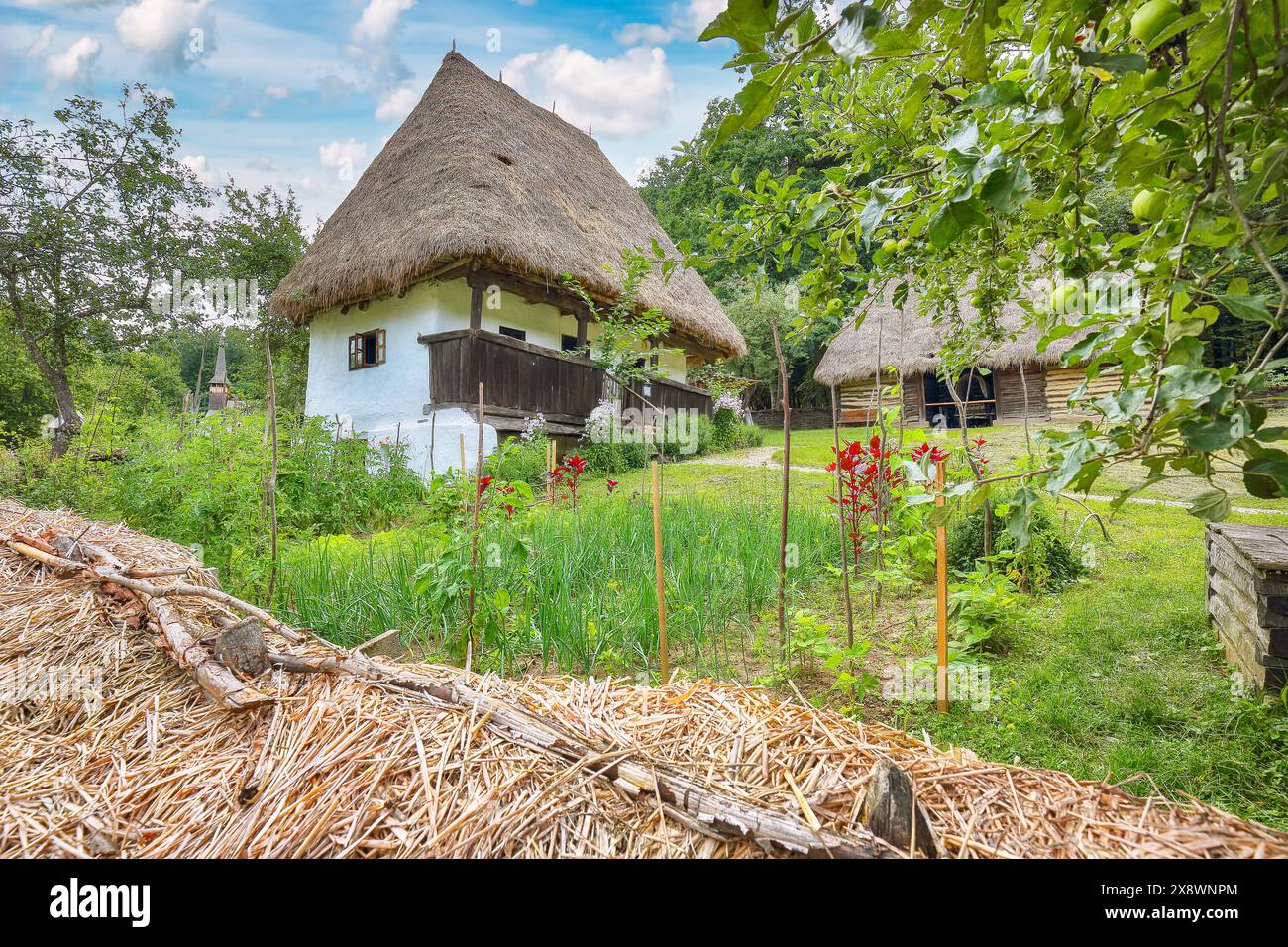 Gorgeous summer scene of traditional romanian peasant houses. Beauty of ...