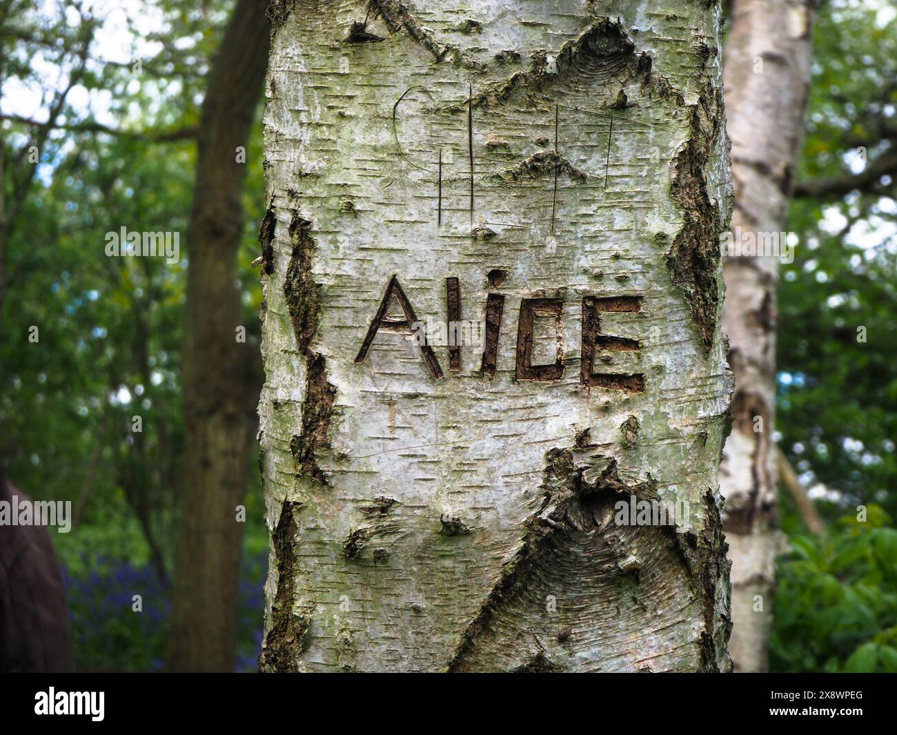 Name carving hi-res stock photography and images - Alamy