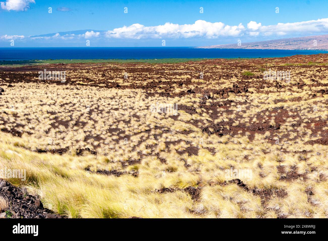 grazing lands of Parker Ranch and Haleakala of Maui in background, Big ...