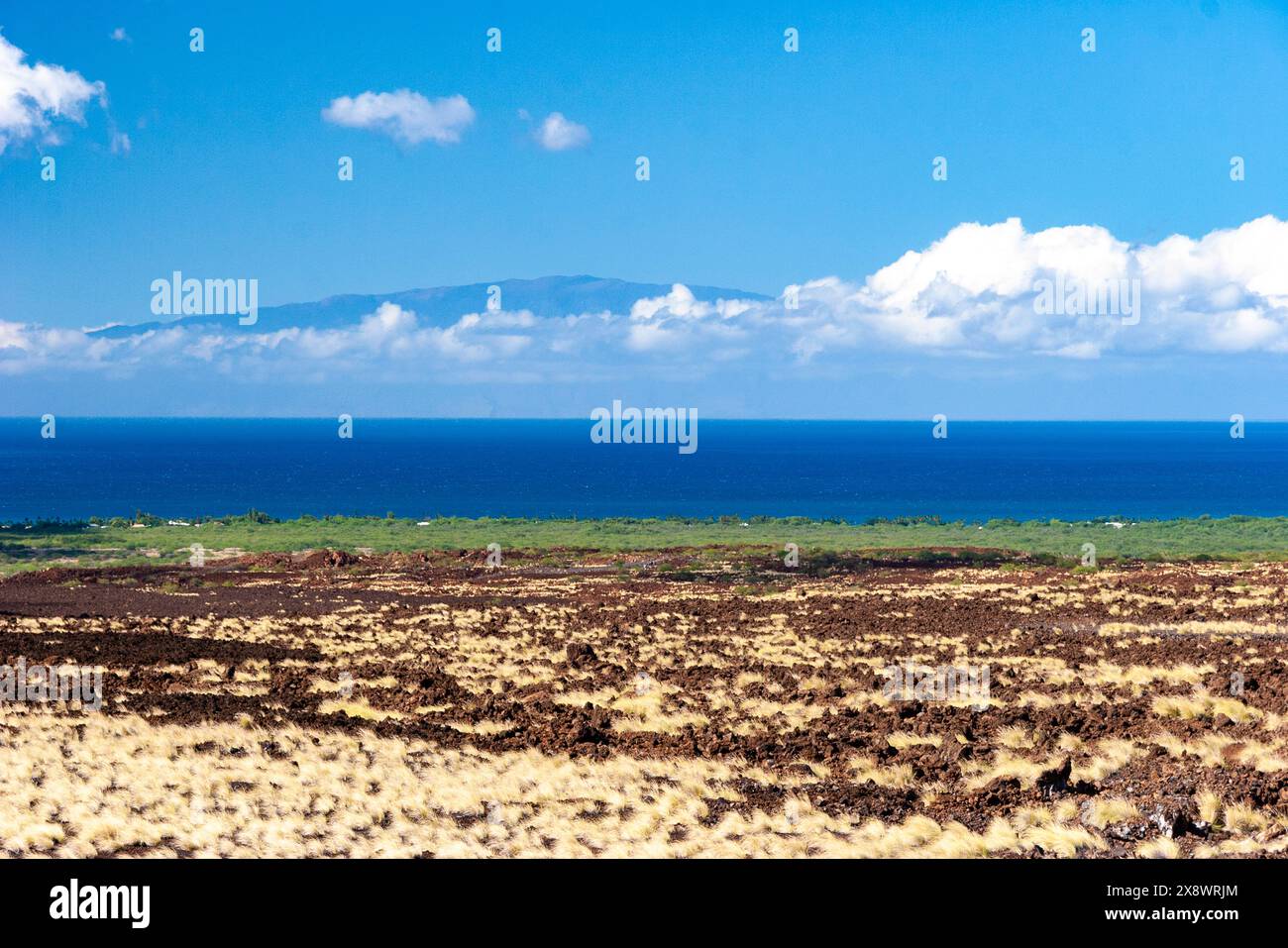 grazing lands of Parker Ranch and Haleakala of Maui in background, Big ...