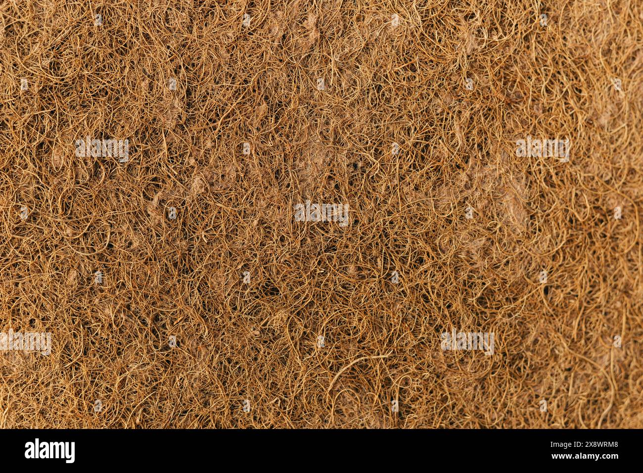 Mattress for a child made of coconut fiber. Background of coconut fiber ...