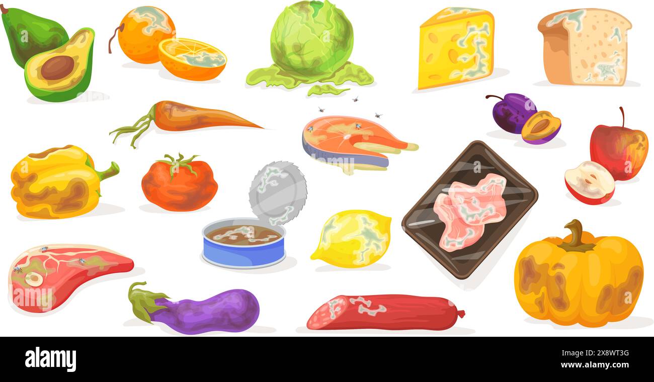 Rotten food. Spoiled foods organic rubbish with fly and bacteria, moldy ...