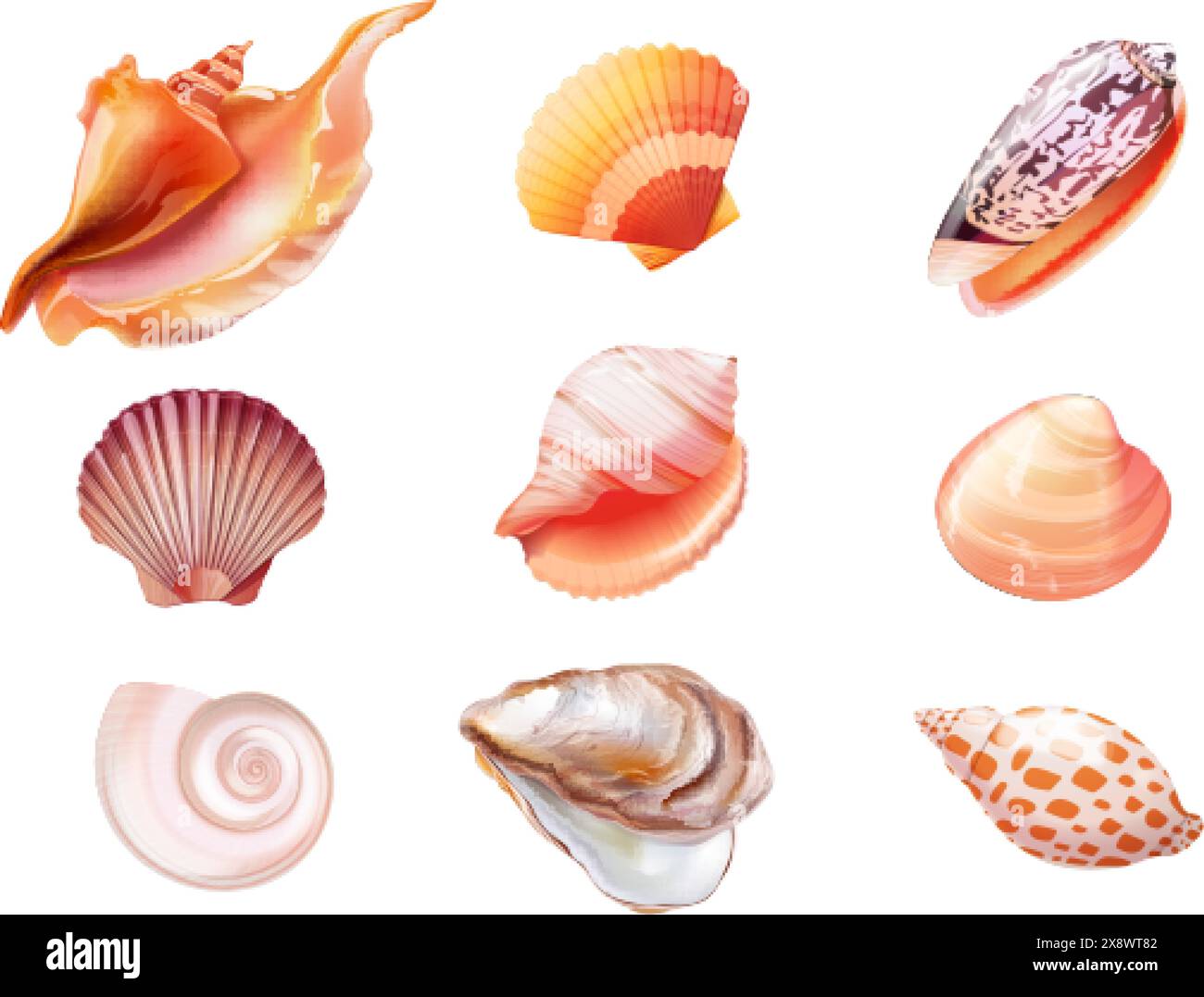 Realistic seashells. 3d shells sea object isolated seashell exotic ...