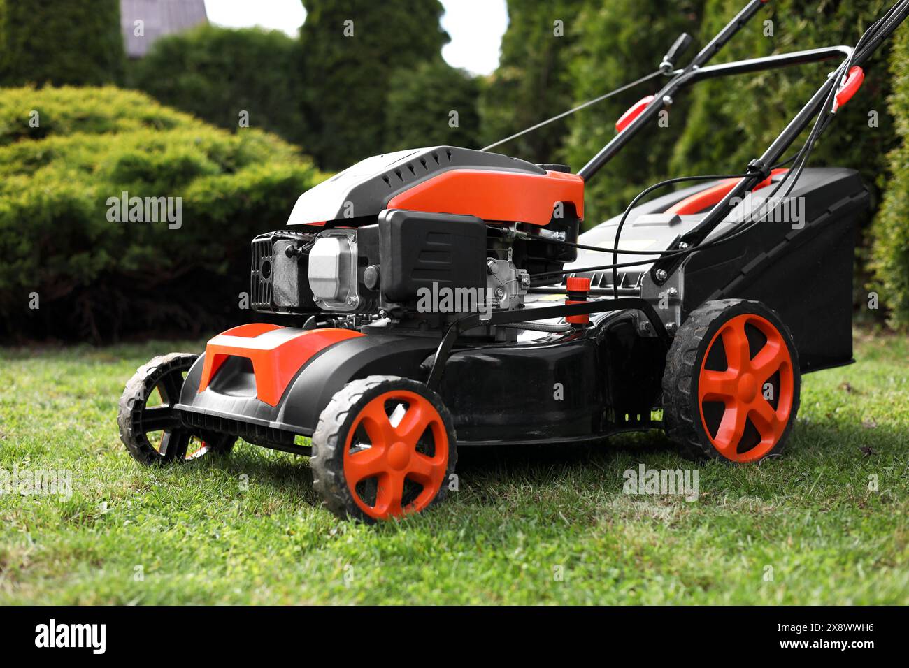 Modern lawn mower on green grass in garden Stock Photo - Alamy