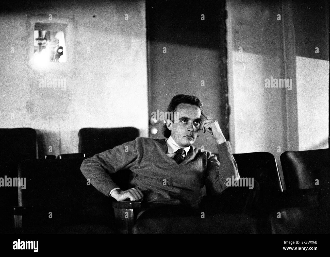 Cine de pino hi-res stock photography and images - Alamy