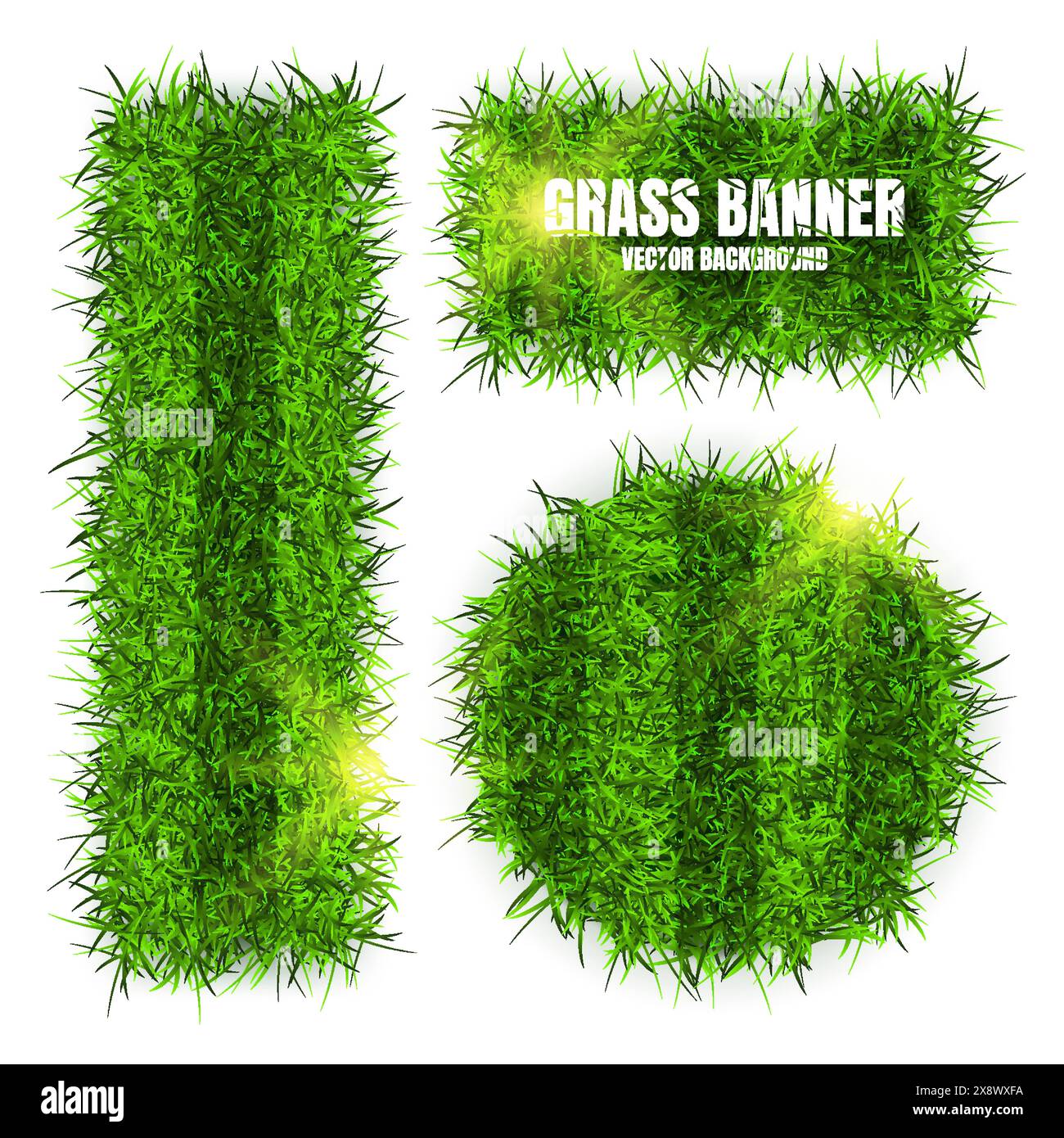 Green grass banners, background. Field, meadow texture, grassy ...