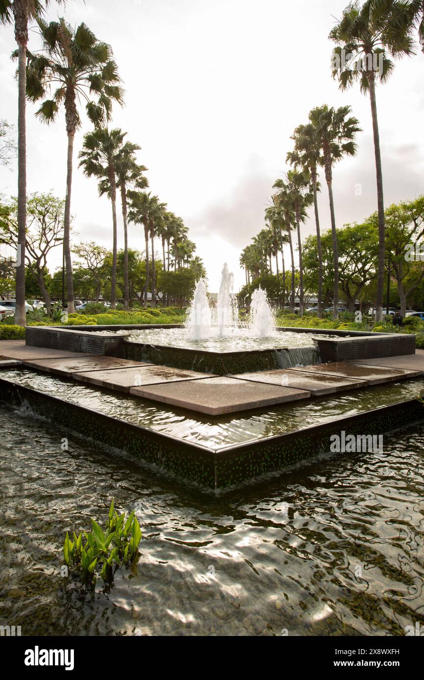 Palm lined view of a fountain in the civic center of downtown Paramount ...