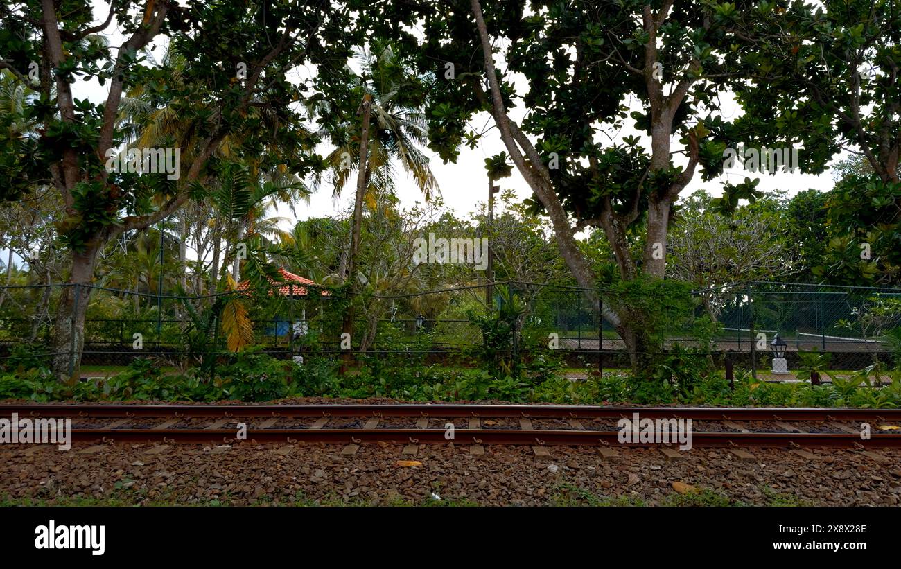 Railway tracks in forest, side view. Action. Countryside landscape and ...