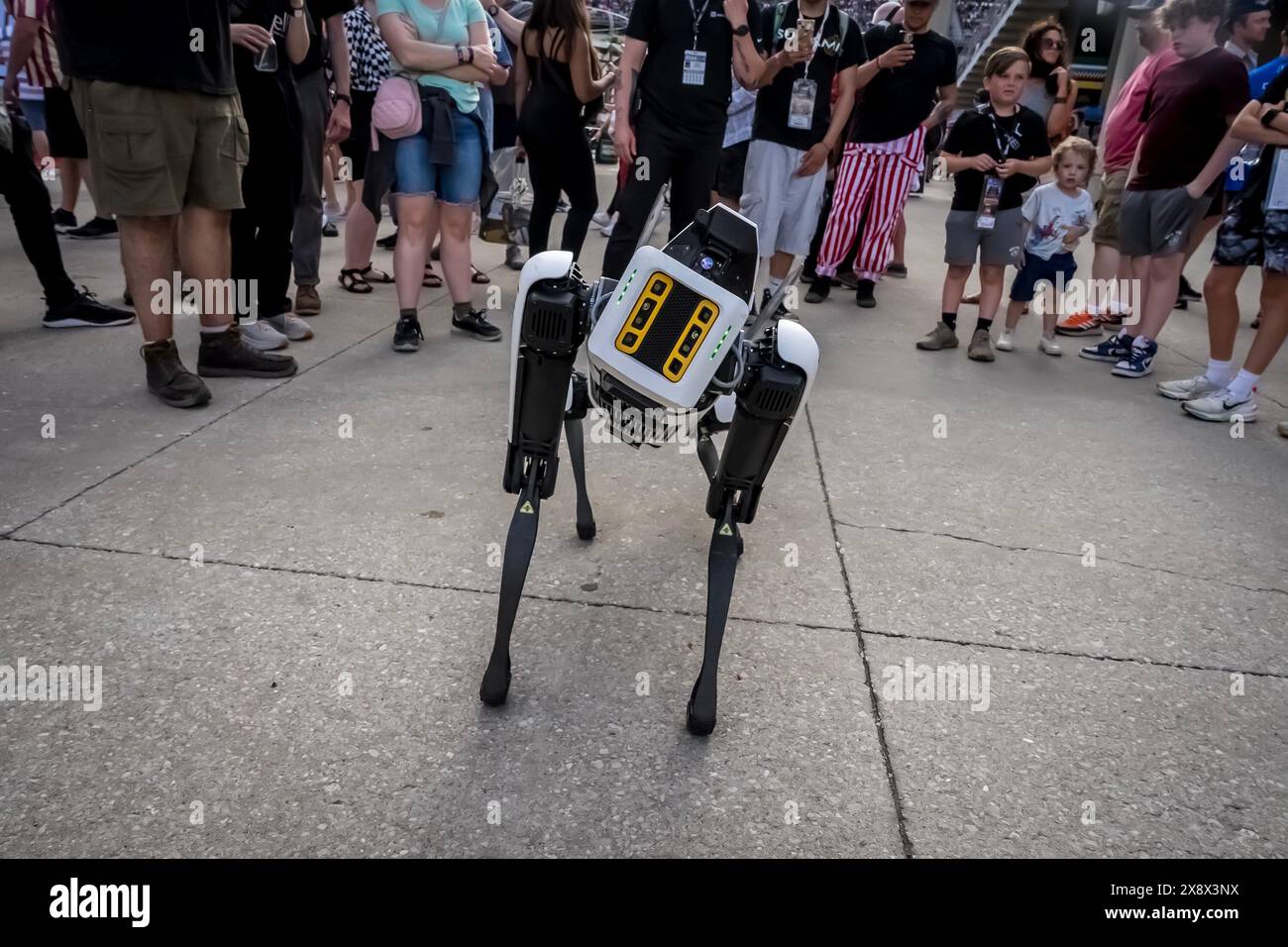 Speedway, In, USA. 26th May, 2024. A robotics drone dog from Asylon ...