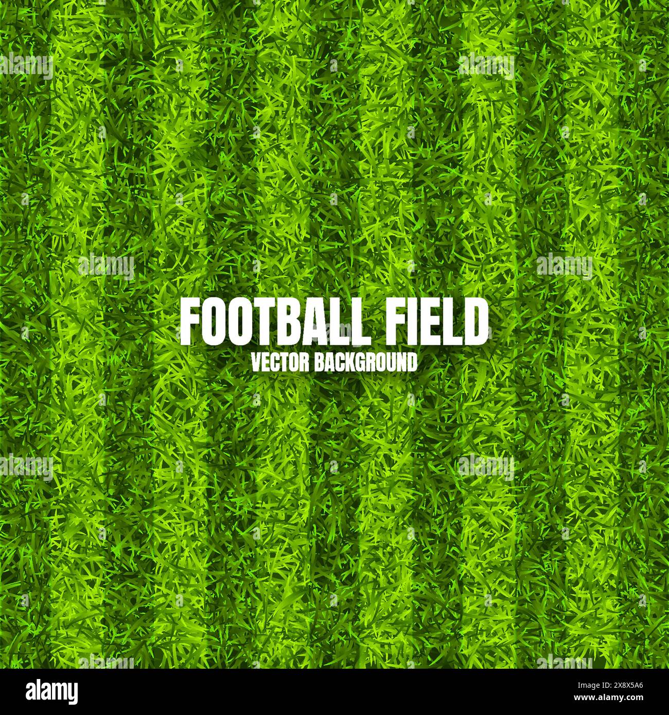Soccer playing field with green grass. Football pitch background with ...
