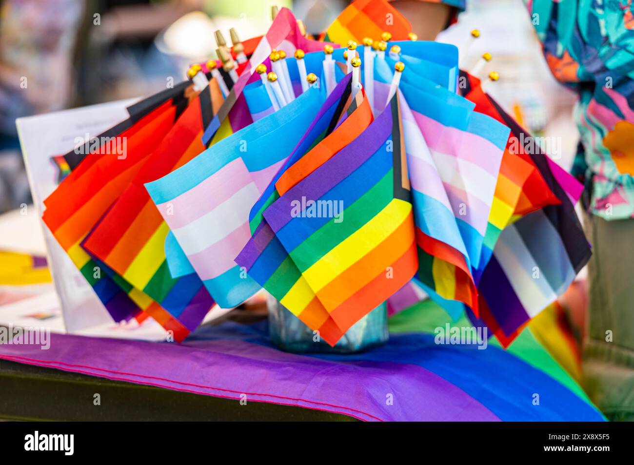 Group of various flags including rainbow and transgender at Placer ...