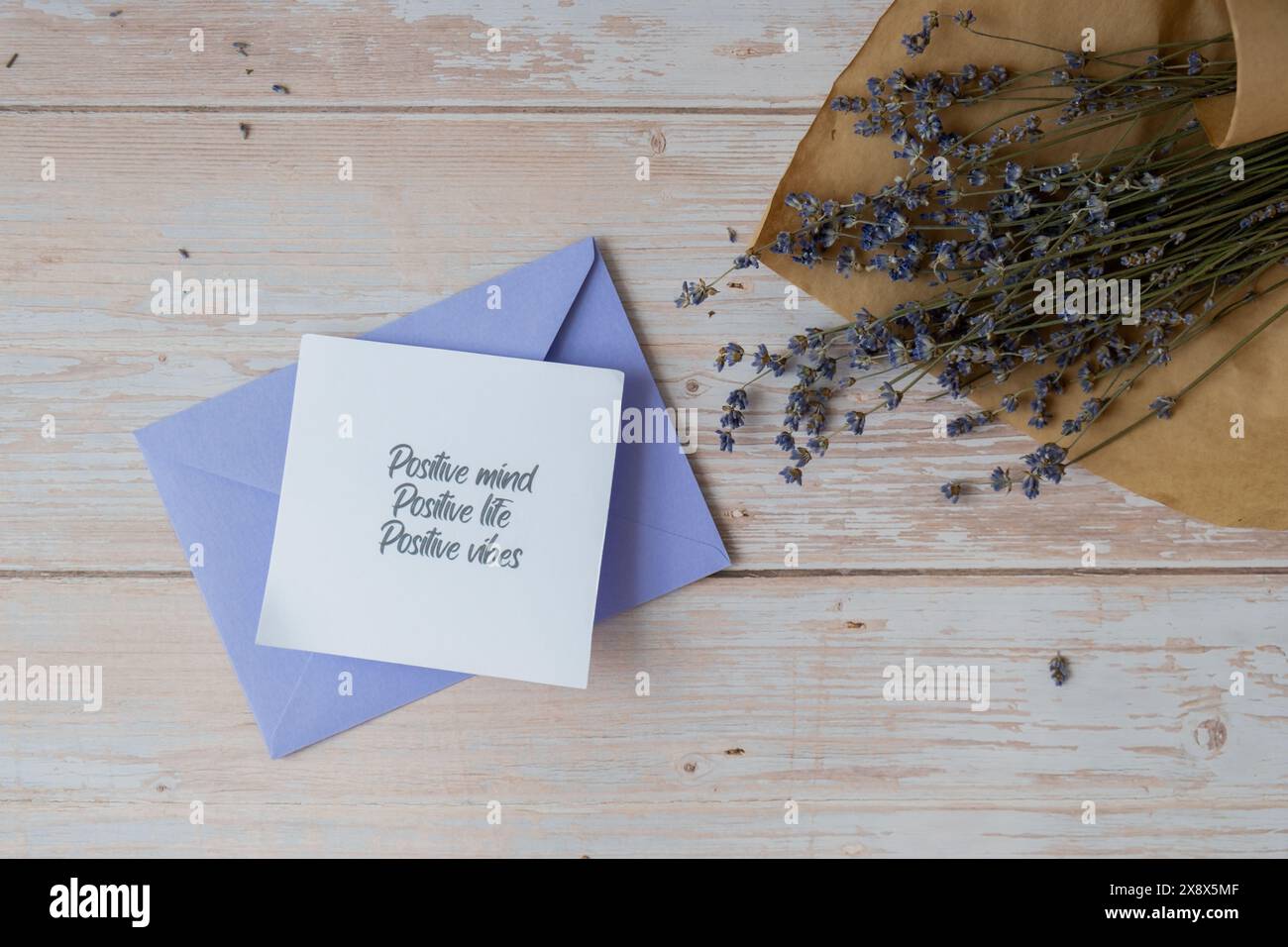 Female hands taking paper card note with text POSITIVE MIND LIFE VIBES ...