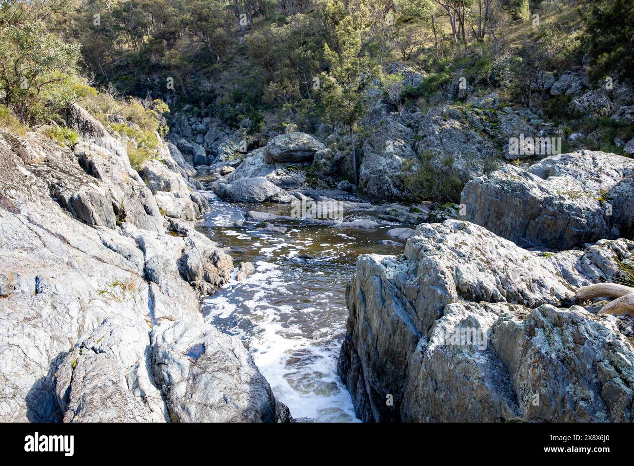 Wollemombi river in Oxley Rivers national park, flowing to Australia's ...