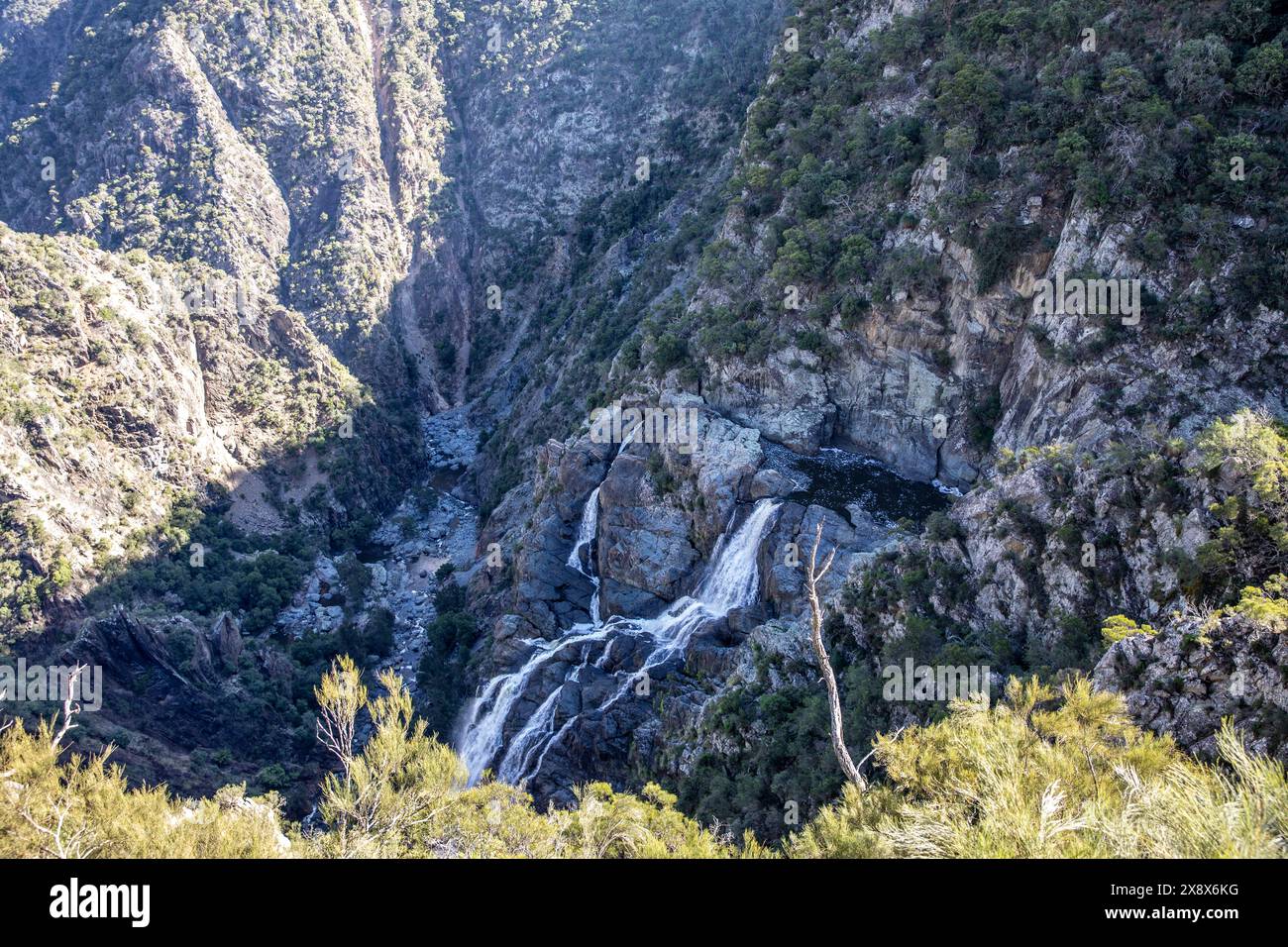 Wollemombi waterfall falls in Oxley Rivers national park, Australia's ...
