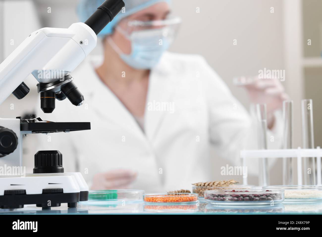 Quality control. Food inspector working in laboratory, focus on ...