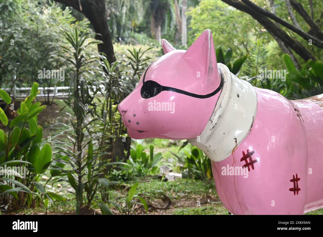 ''The cat park in Cali Stock Photo - Alamy