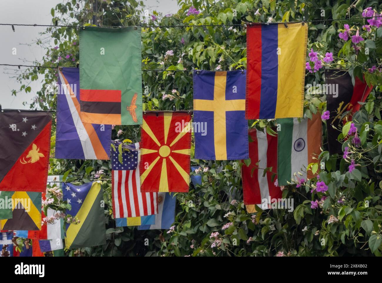 Flags from many countires fly above the streets of the Getsemani ...