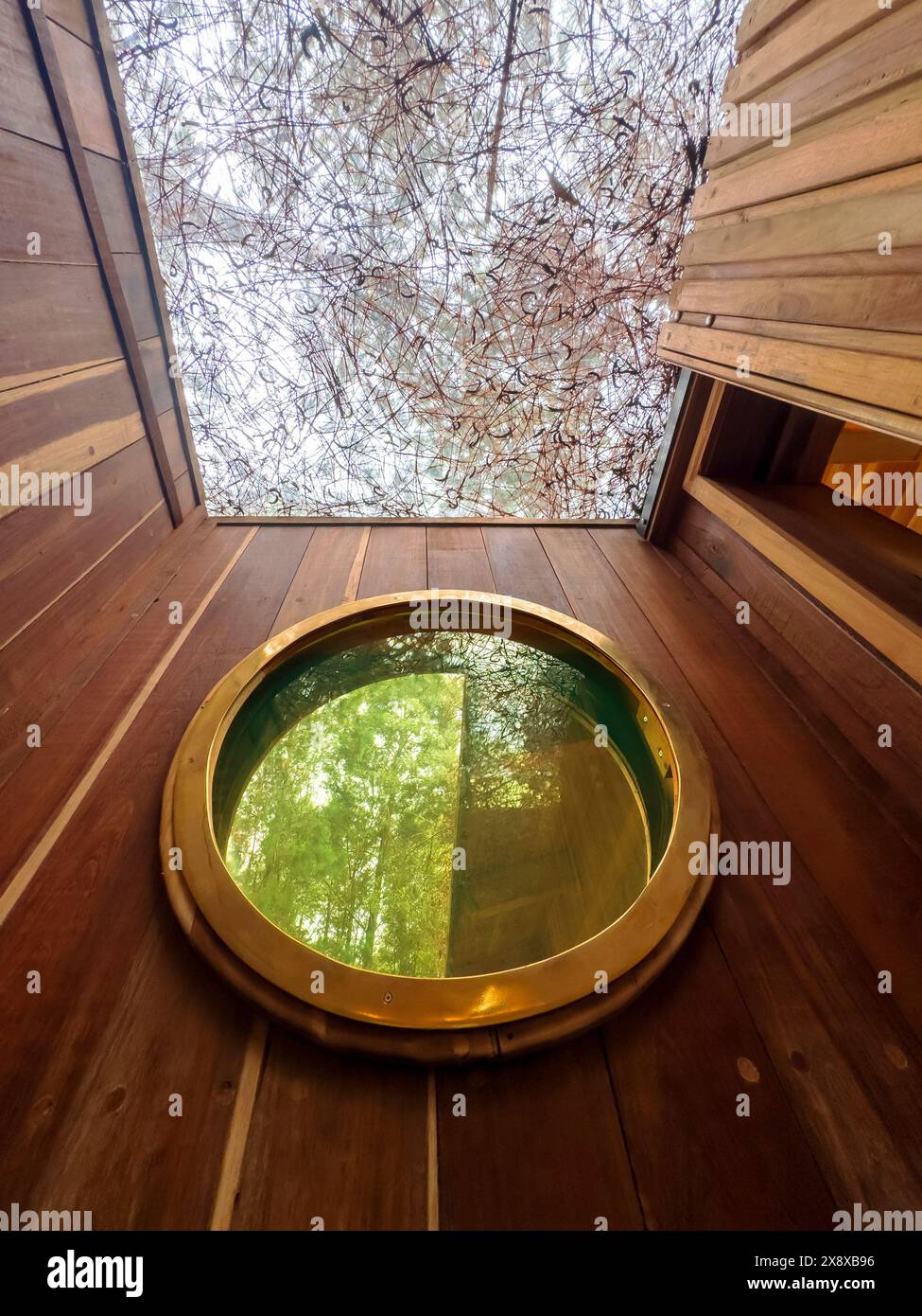 A custom built wooden tree house in Santa Elena, a town located at 8000 ...