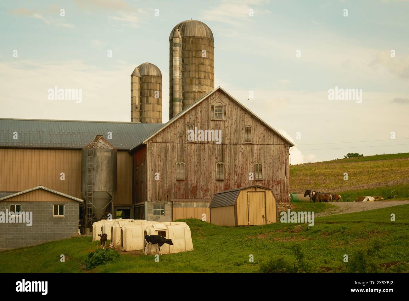 Barn and silos on a farm in Glen Rock, Pennsylvania Stock Photo - Alamy