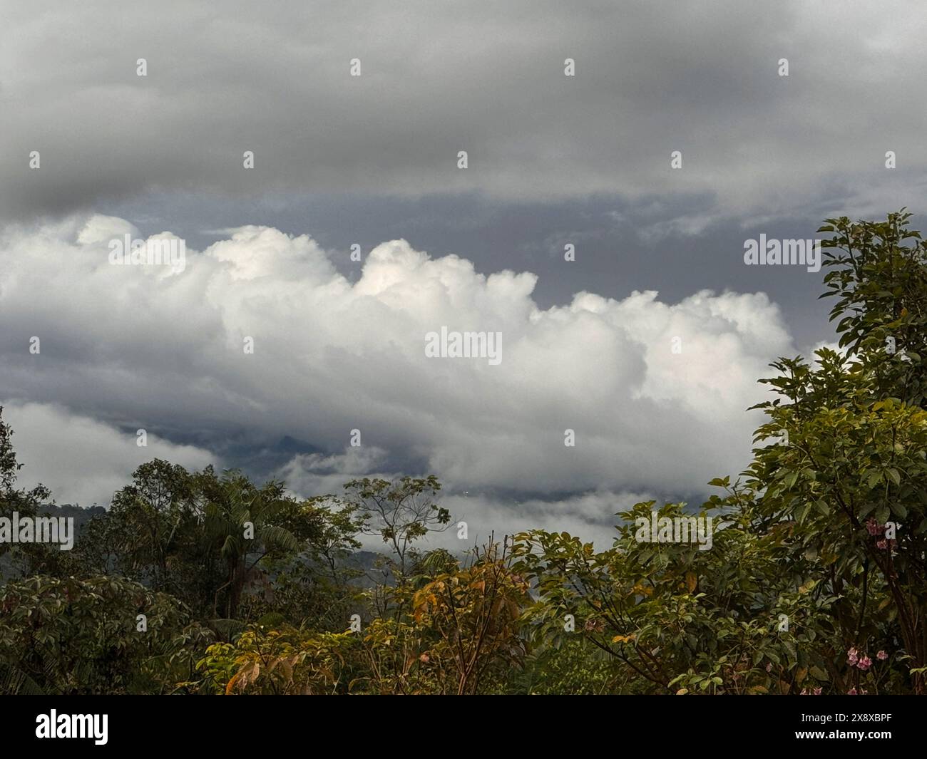 Rafting colombia hi-res stock photography and images - Alamy