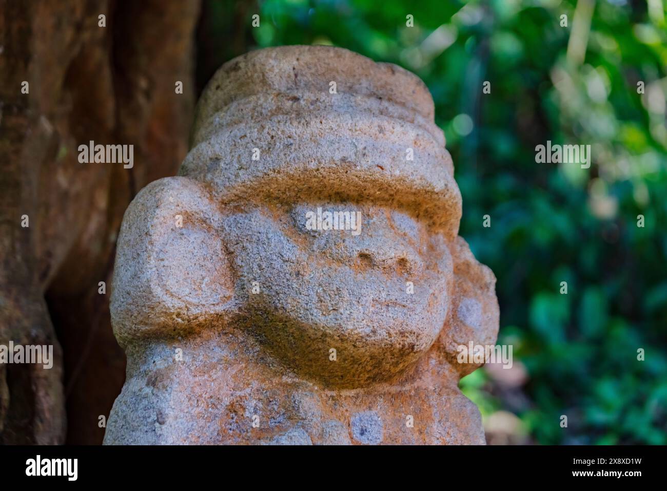 Two thousand year old stone carvings in the San Augustin Archeological ...