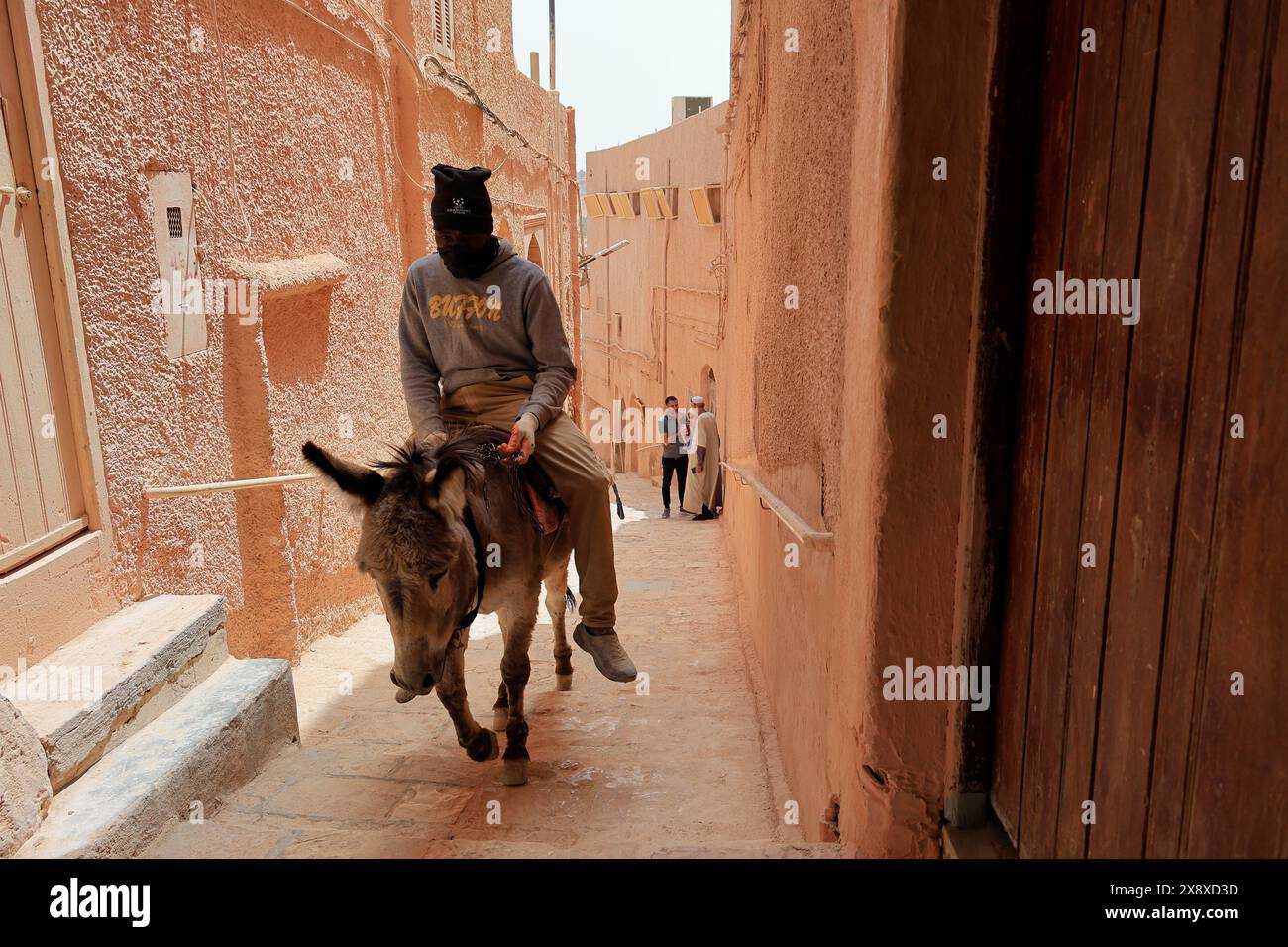 Man riding a donkey in the narrow street of Ghardaia.Ghardaia is one of ...