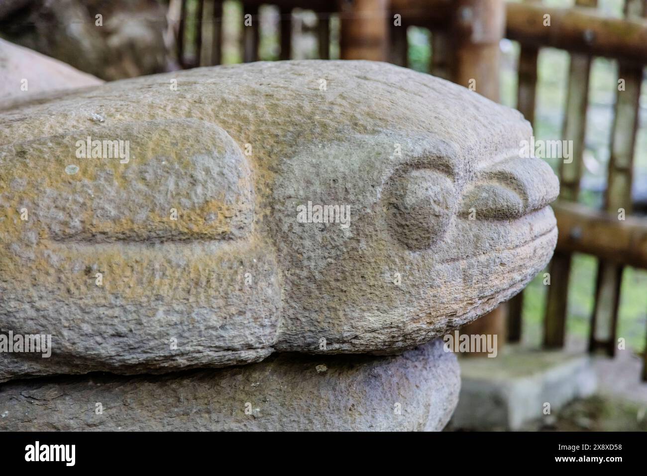 Two thousand year old stone carvings in the San Augustin Archeological ...