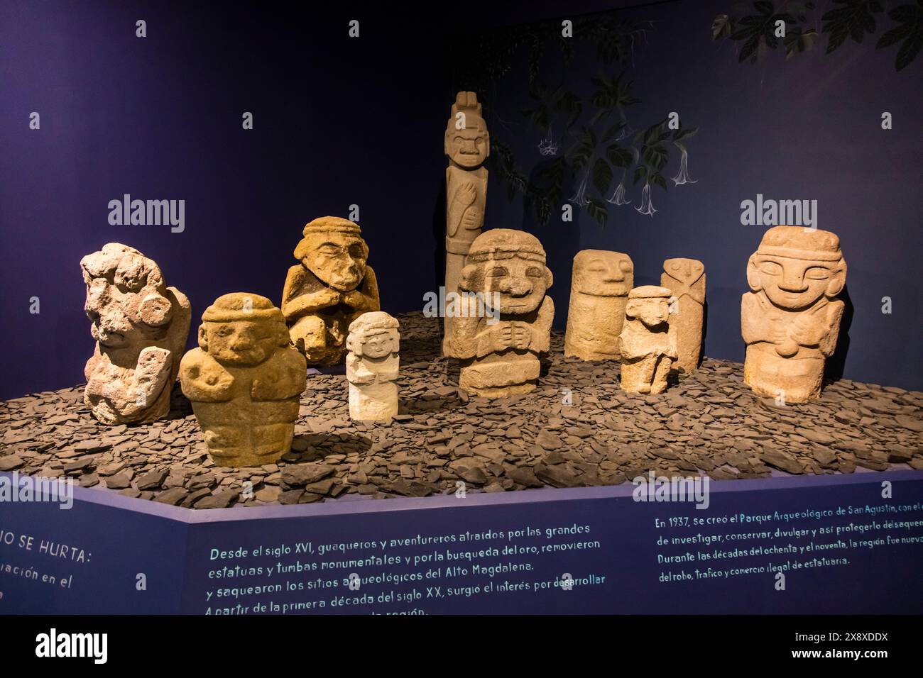 Two thousand year old stone carvings in the museum in the San Augustin ...