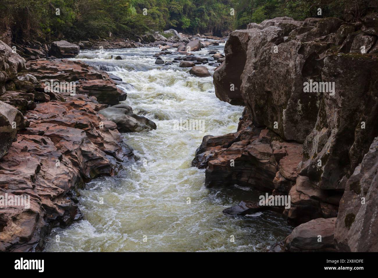 The Magdalena River is a major artery that flows to the north into the ...