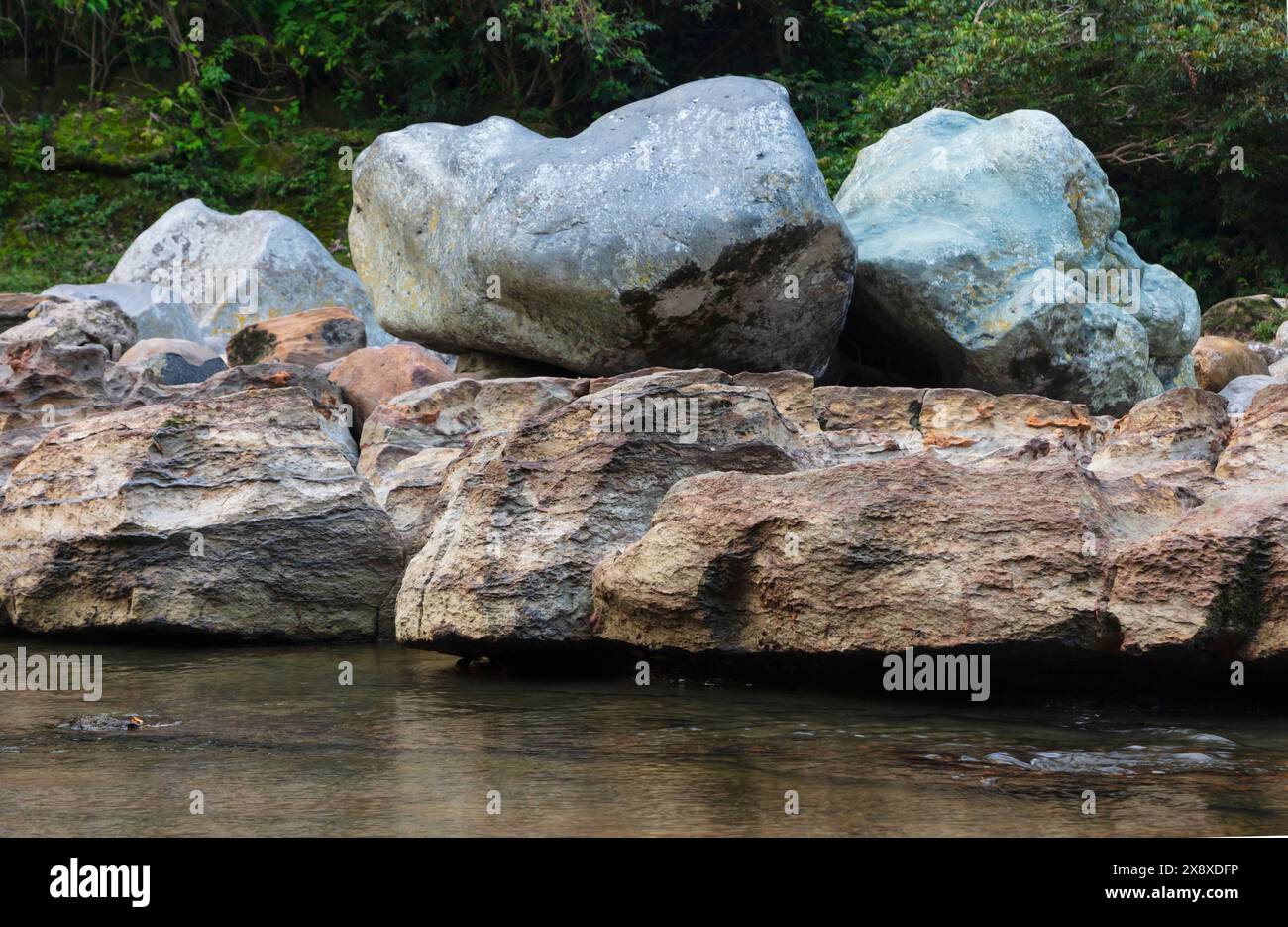 The Magdalena River is a major artery that flows to the north into the ...