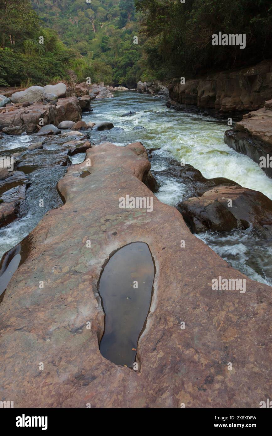 The Magdalena River is a major artery that flows to the north into the ...