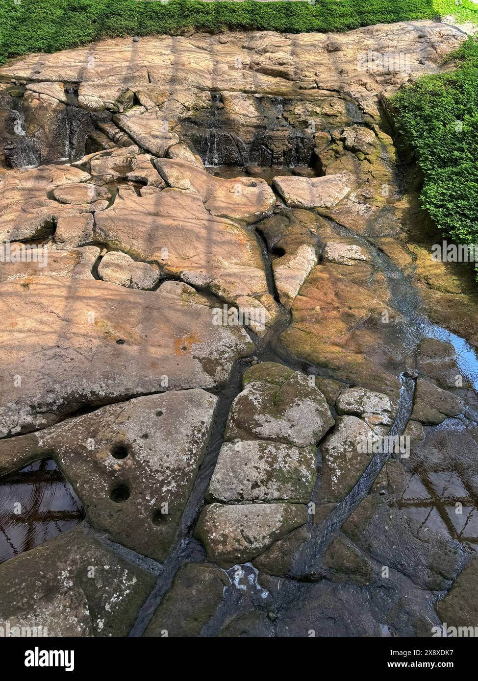 Two thousand year old stone carvings in the river at the San Augustin ...