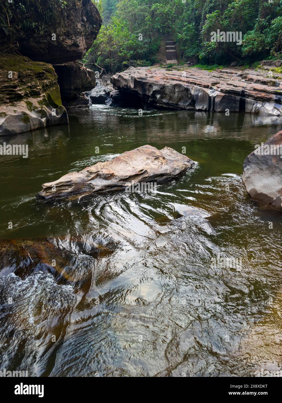 The Magdalena River is a major artery that flows to the north into the ...