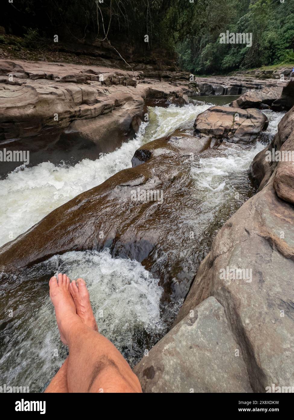 The Magdalena River is a major artery that flows to the north into the ...