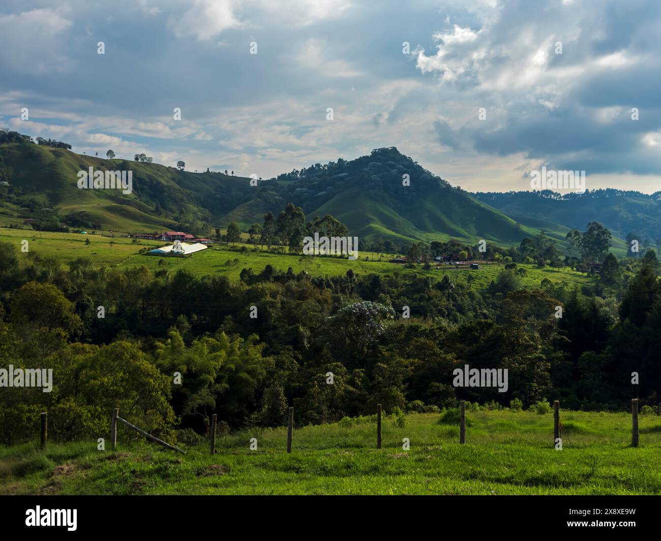 Cow pastures and part of the green landscape near Santa Rosa de Cabal ...