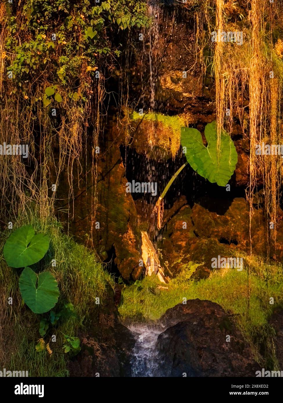 Santa rosa de cabal hot springs hi-res stock photography and images - Alamy