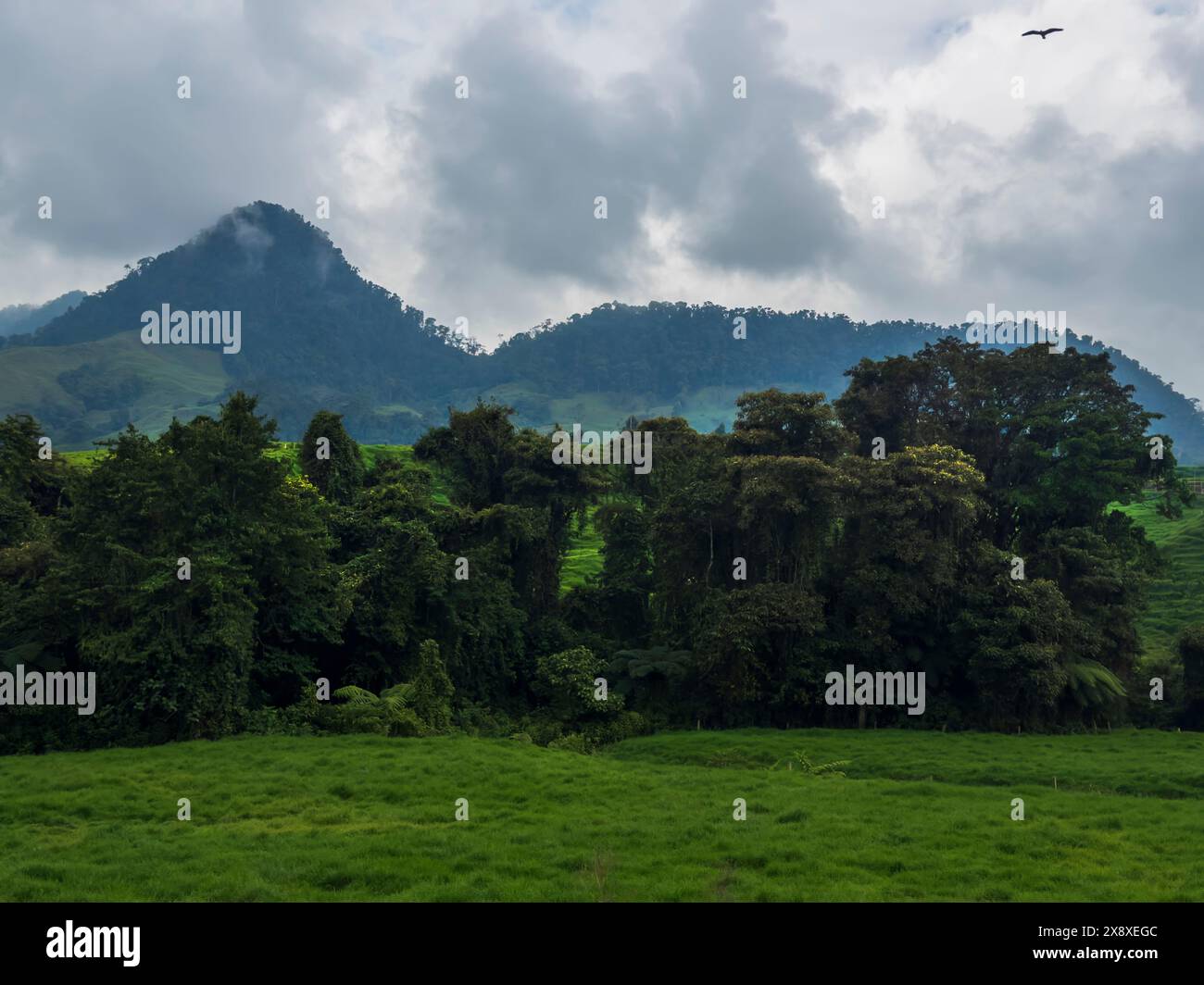 Beautiful countryside above the town of Manizales on route to the Andes ...